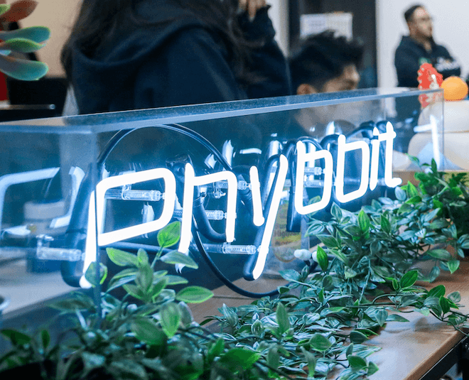 Phybbit - Get in the Ring