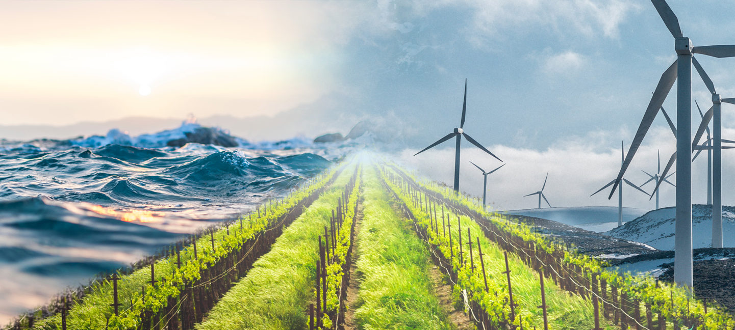 Impact Competition - Get in the Ring