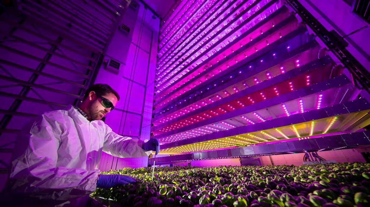 Transforming the Global Food System Through Fully Automated Vertical ...
